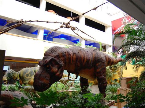 30 Imperdibles Recorridos Virtuales Por Museos De Cdmx