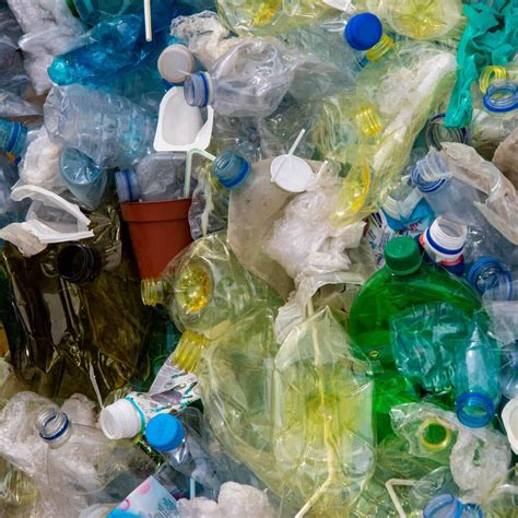 The Harmful Effects Of Plastic The Cnm Health Coach Course Study Online Or In Class The