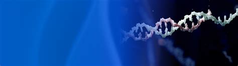 The Application Of Ligand Binding Assay Lba In Dmpk Quantitative Analysis Of Oligonucleotides