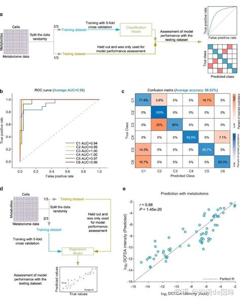 【中科院1区147】单细胞代谢组活细胞成像｜中国科大熊伟and朱洪影团队整合单细胞代谢组学和表型分析揭示细胞氧化和衰老代谢异质性 知乎