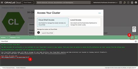 use cilium to provide networking services in oracle cloud
