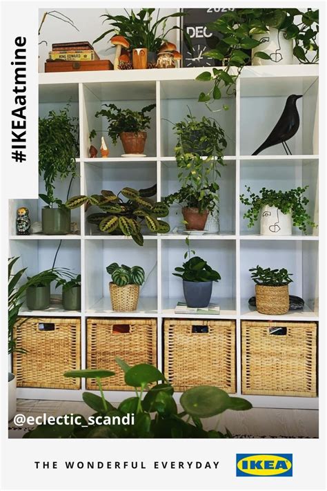 Plant Care Guide Getting Started Artofit