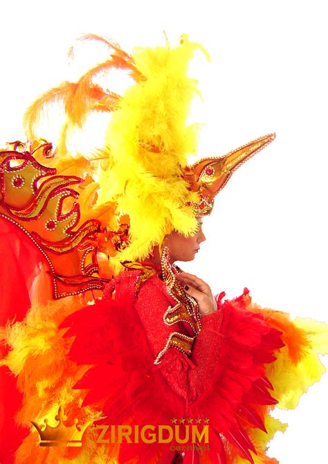 Phoenix Costume Mardi Gras Outfits Zirigdum Carnival Costumes