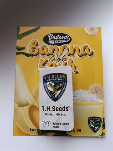 Banana Candy Krush X2 Th Seeds Semillas Del Huaso