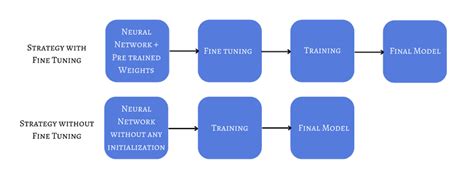 What Is Fine Tuning In Neural Networks Baeldung On Computer Science