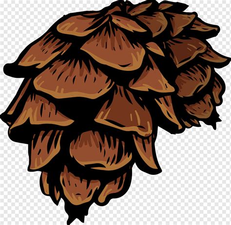 сосновая шишка Png Pngwing