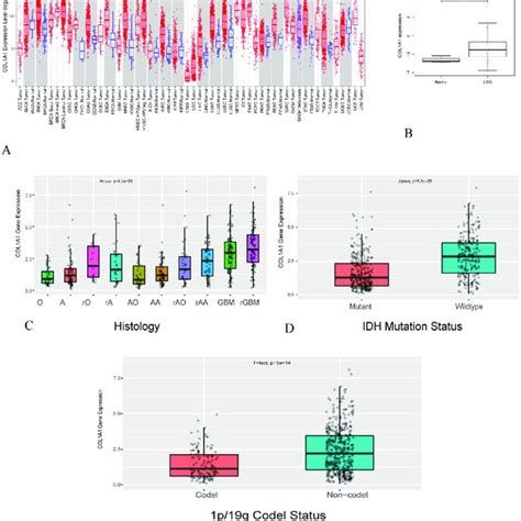 The Expression Level Of COL1A1 In Normal And Tumor Tissues A In The