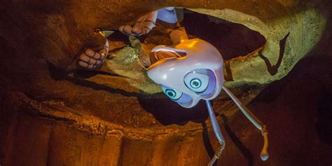 The Art Of Conservation Five Ish Fun Facts About The Tree Of Life In