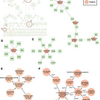 Gene Feature Network The Gene Feature Network A With Its Modules Download Scientific Diagram