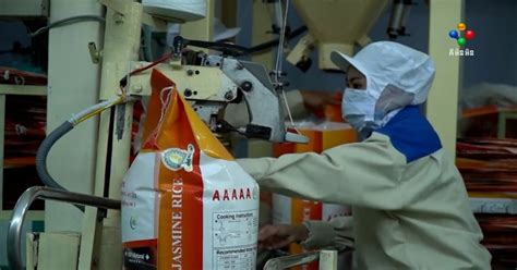 ថៃ រំពឹងការនាំចេញអង្ករទៅកាន់ ចិន កើនឡើងខ្លាំង Pnn ព័ត៌មាន