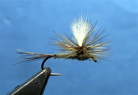 Parachute Adams Fly Tying Video Dakota Angler And Outfitter