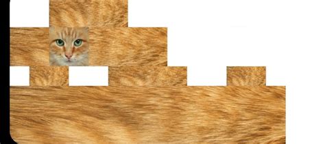 Create Meme Skins Minecraft Cat Skins Hd Skins For Minecraft