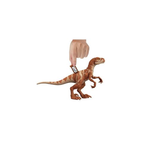 Buy Jurassic World Dominion Velociraptor Blue Vs Atrociraptor Dino