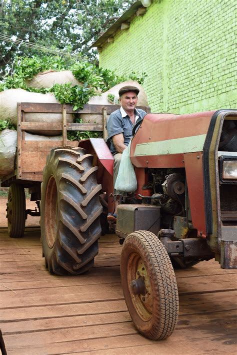 Productores Agropecuarios La Declaración Jurada Del Ministerio Del