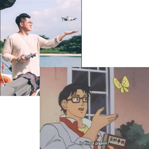 Andre Looked Familiar Again Rsupercatkeiofficial