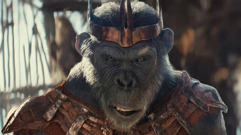 Planeta dos Macacos O Reinado ganha BELÍSSIMO cartaz IMAX Confira