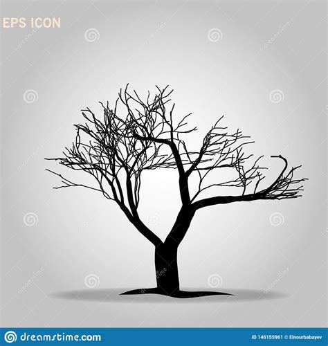 Architectonics Of The Crown Of Norway Maple The Structure Of The Tree