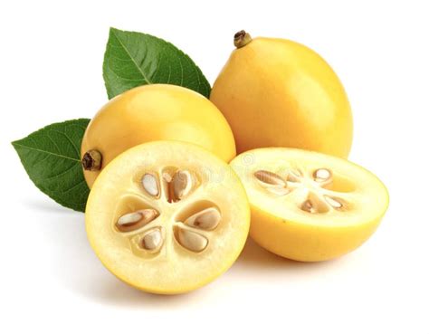 Fresh Yellow Sapote Fruit Still Life Stock Illustration Illustration