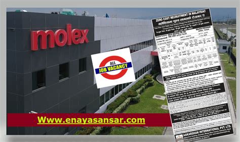 Molex Malaysia Sdn Bhd Saviontaroschultz