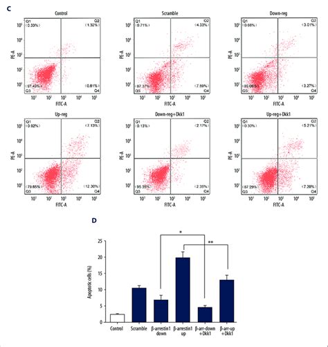 Flow Cytometry Was Used To Detect The Effect Of B Arrestin 1 2 On