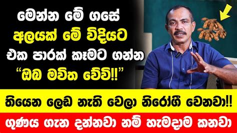 මෙන්න මේ ගසේ අලයක් එක පාරක් කෑවත් ඇති ඒ තරම් ගුණයි ඇගේ තියෙන ලෙඩ