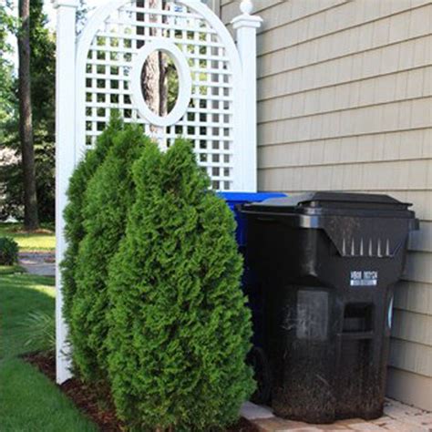9 Ways To Disguise Your Trash Bin Hide Trash Cans Outdoor Trash Cans