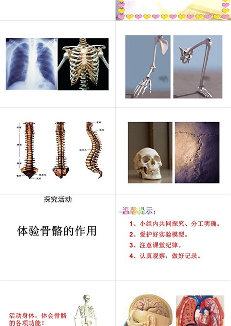 Ppt