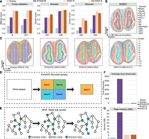 Latent Feature Extraction With A Prior Based Self Attention Framework For Spatial Transcriptomics