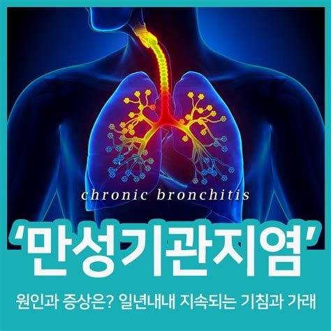 일년내내 지속되는 기침과 가래 만성기관지염원인과 증상을 알아봐요 네이버 블로그