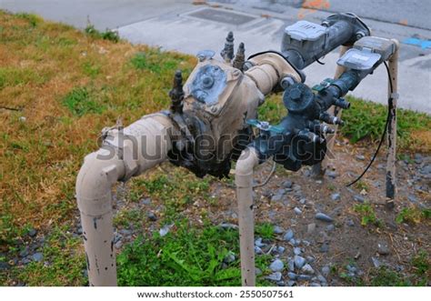 28 Water Backflow Preventer Residential Royalty Free Images Stock