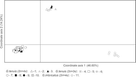 Principal Coordinates Analysis Of Aflp Data Download Scientific Diagram