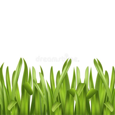 Grass Vector Eps10 Stock Illustration Illustration Of Copy 38338023
