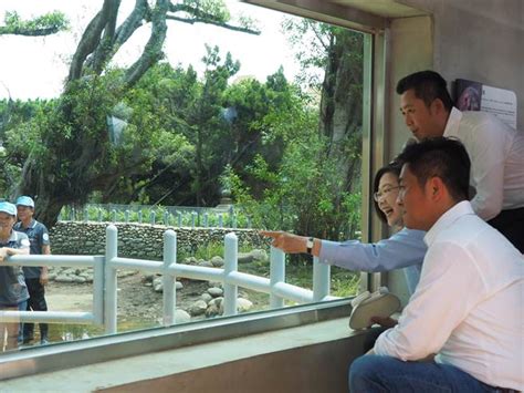 蔡英文視察新竹動物園工程憶兒時 生活 中時