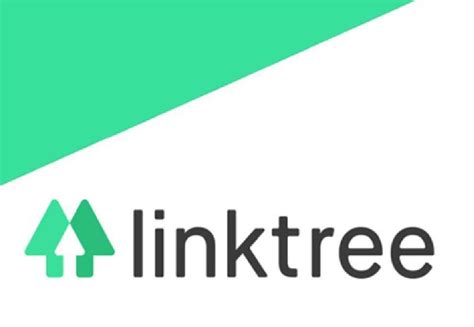 Linktree Interdit Les Profils De Travailleuses Du Sexe Y Compris OnlyFans