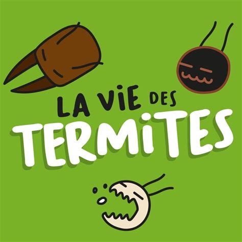 États Infestés De Termites Découvrez Les Zones à Risque Nuisibles