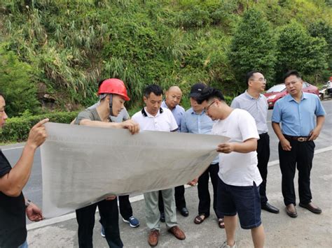 丽水市生态环境局门户网站