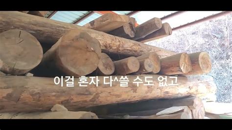 원석을 봤으니 병이나겠다 소나무건조7년 자연건조 원목 한옥 Youtube