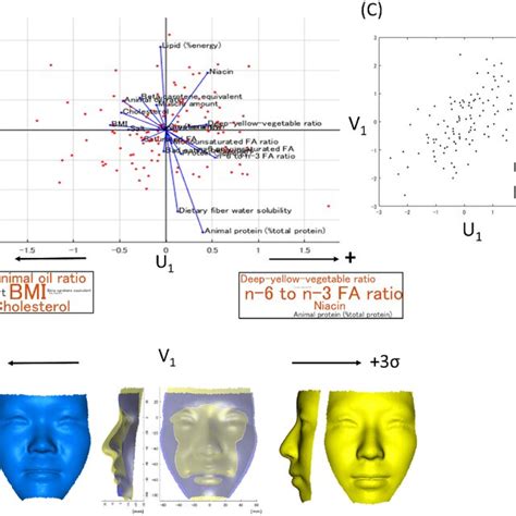 Result Of A Canonical Variate Cv Analysis A Significant Correlation
