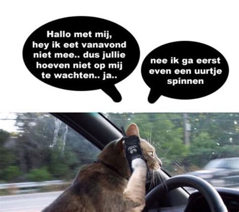15 Vet Domme Grappen Met Dieren Kakhiel