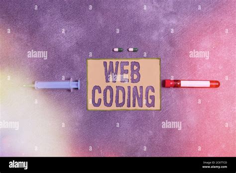 Text Sign Showing Web Coding Business Photo Showcasing A System Of