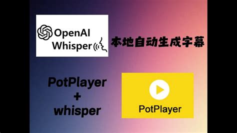 Potplayer神级更新！whisper自动生成字幕，喂饭式教程 Youtube