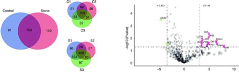 Proteomic Profiling Of Human Urinary Exosomes A A Total Of 960