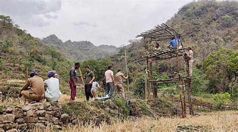 Looking For Tigers In An Uttarakhand Village Fresh Paw Prints Near