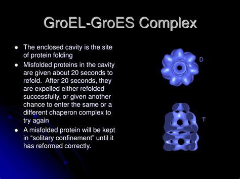 Ppt Groel And Groes Powerpoint Presentation Free Download Id 1246878