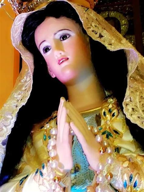 Nossa Senhora Da Conceição Santarém Pa Círio De Nossa Senhora Da
