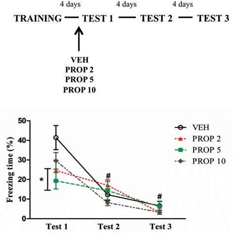 Acute Metyrapone Treatment Reduced Freezing Behavior On Test 1 A