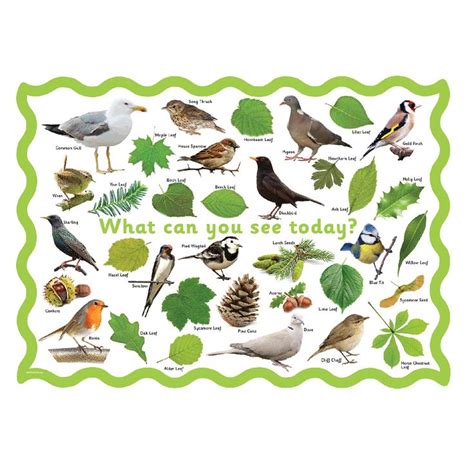 Animal Classification Mural Poster Vertebrates And Invertebrates