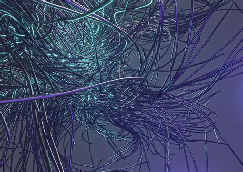 2025 Iota Tangle And Hashgraph In Check