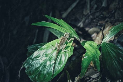 My 3 Day Itinerary At Our Jungle House Truly Expat Travel