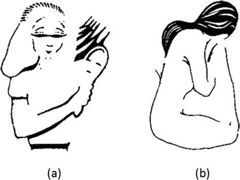 Ambiguous Pictures Psychology
